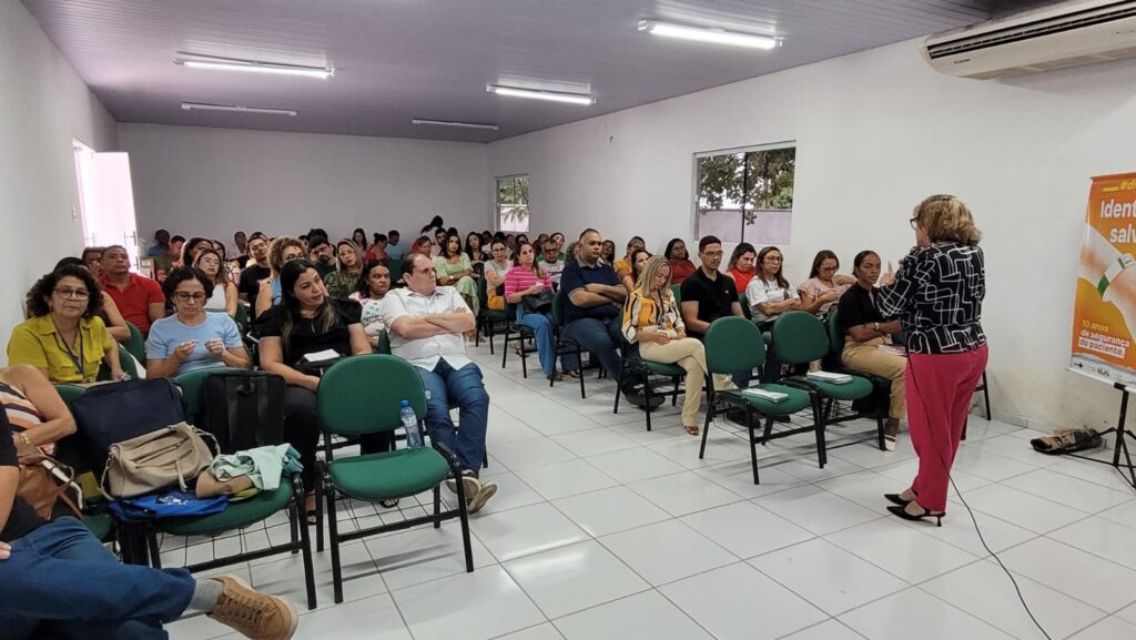 Sesapi realiza oficina de implantação das ações de segurança do ...